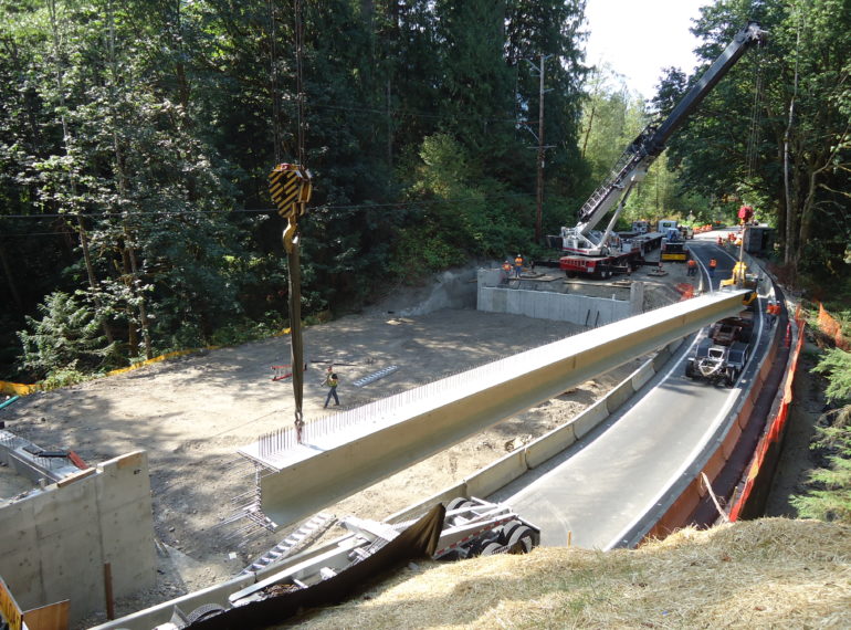 Hedrick Creek Fish Barrier | Strider Construction